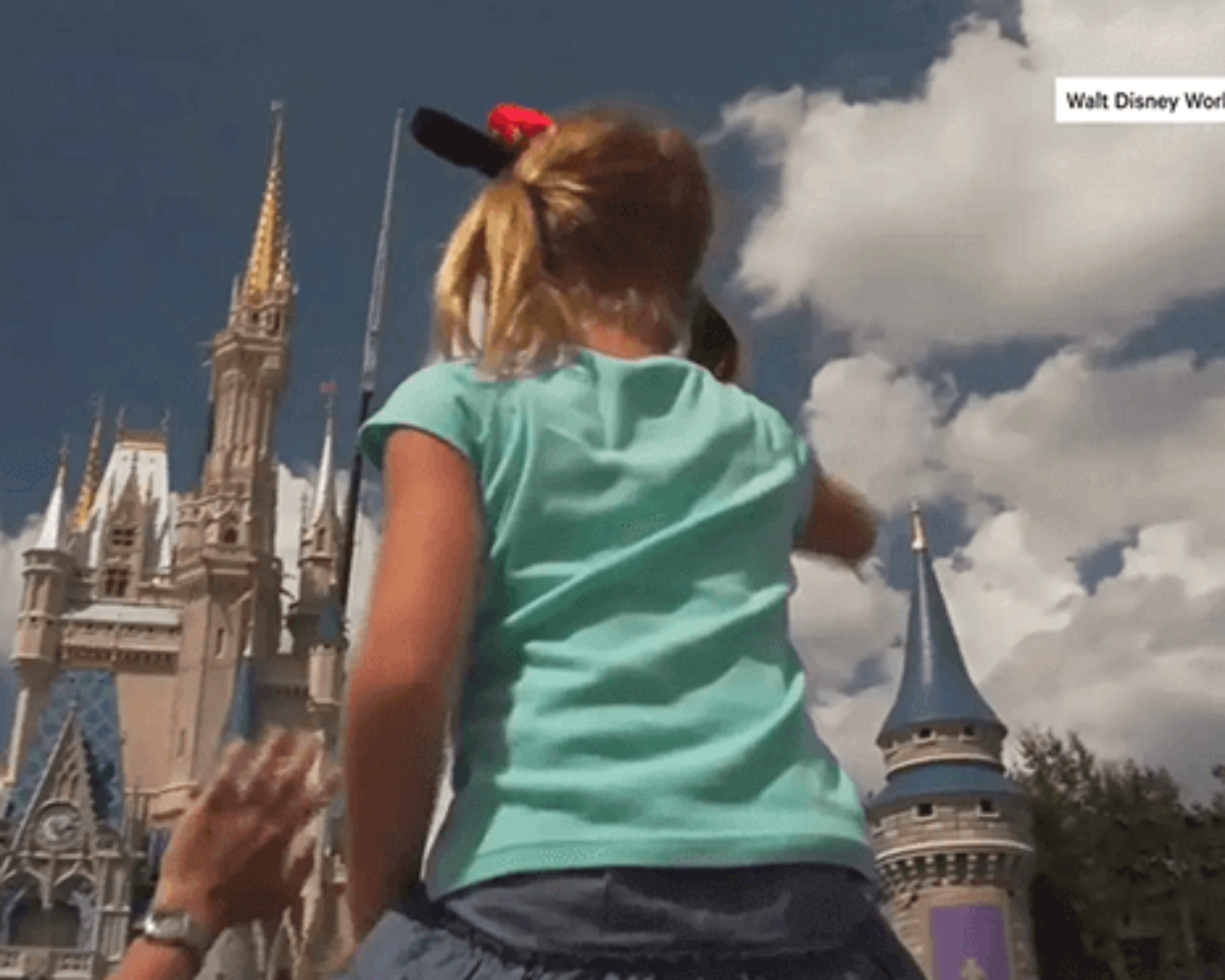 Randal Bridges | About Randal